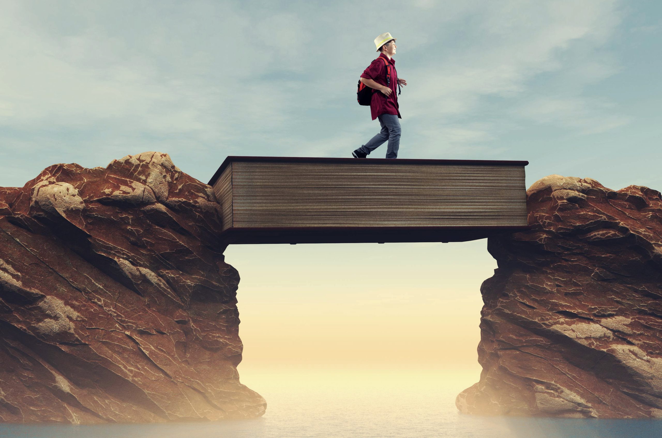 Suggestions for your 2021 Bridge Library - Great Bridge Links